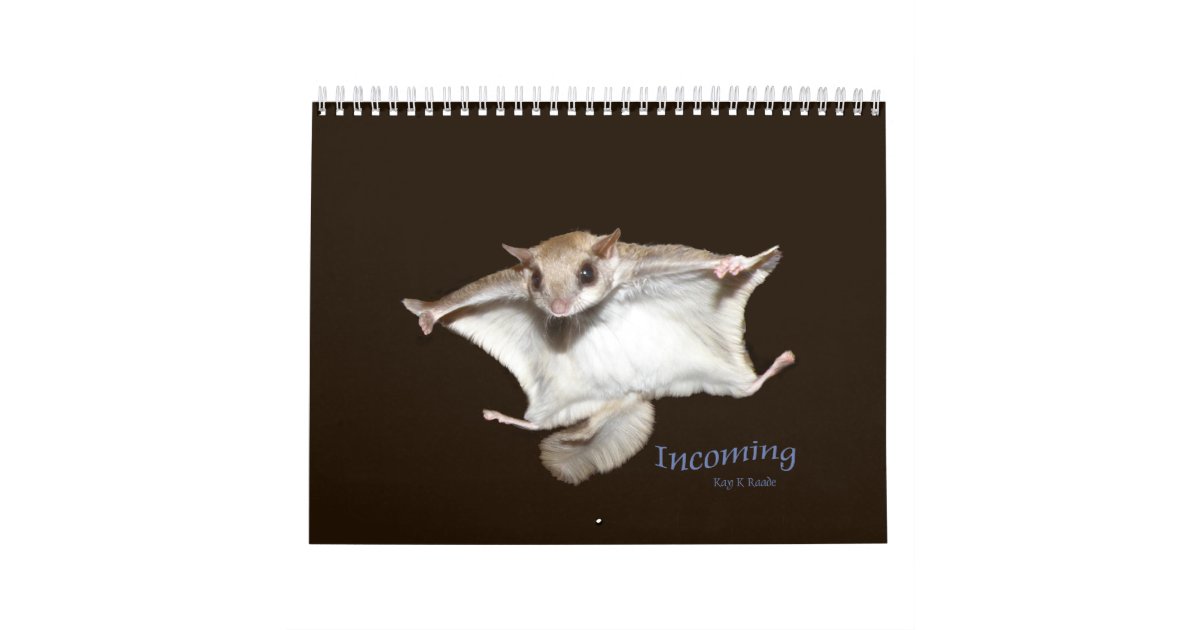Flying Squirrels Calendar | Zazzle