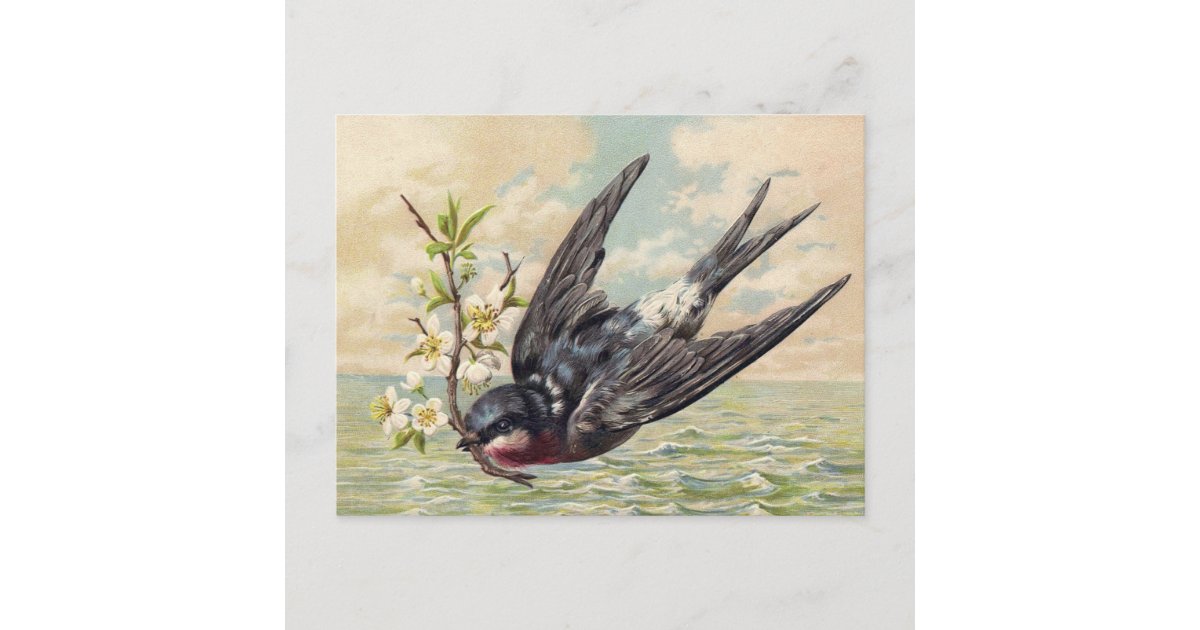 Flying swallow with flower twig postcard | Zazzle