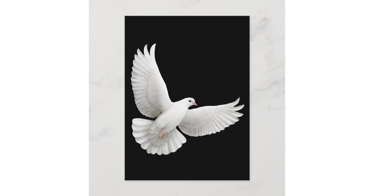 Flying White Dove Postcard | Zazzle