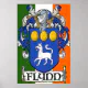 Flynn Coat of Arms Poster Print | Zazzle