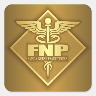 Nurse Practitioner Symbol Stickers | Zazzle