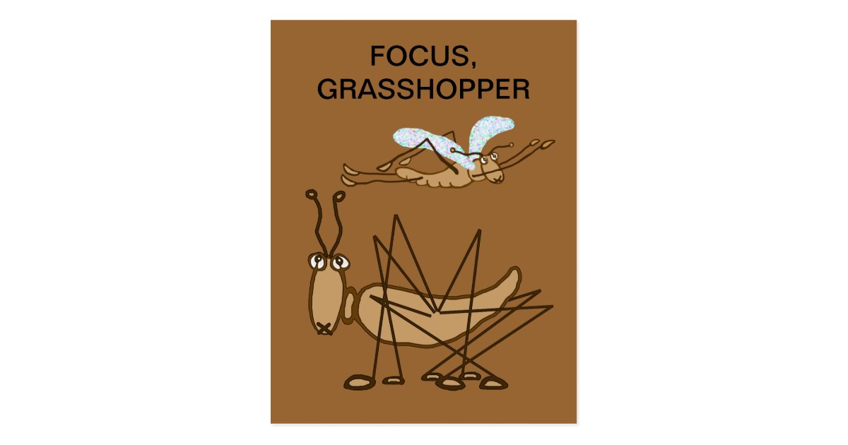 FOCUS GRASSHOPPER POSTCARD | Zazzle.com