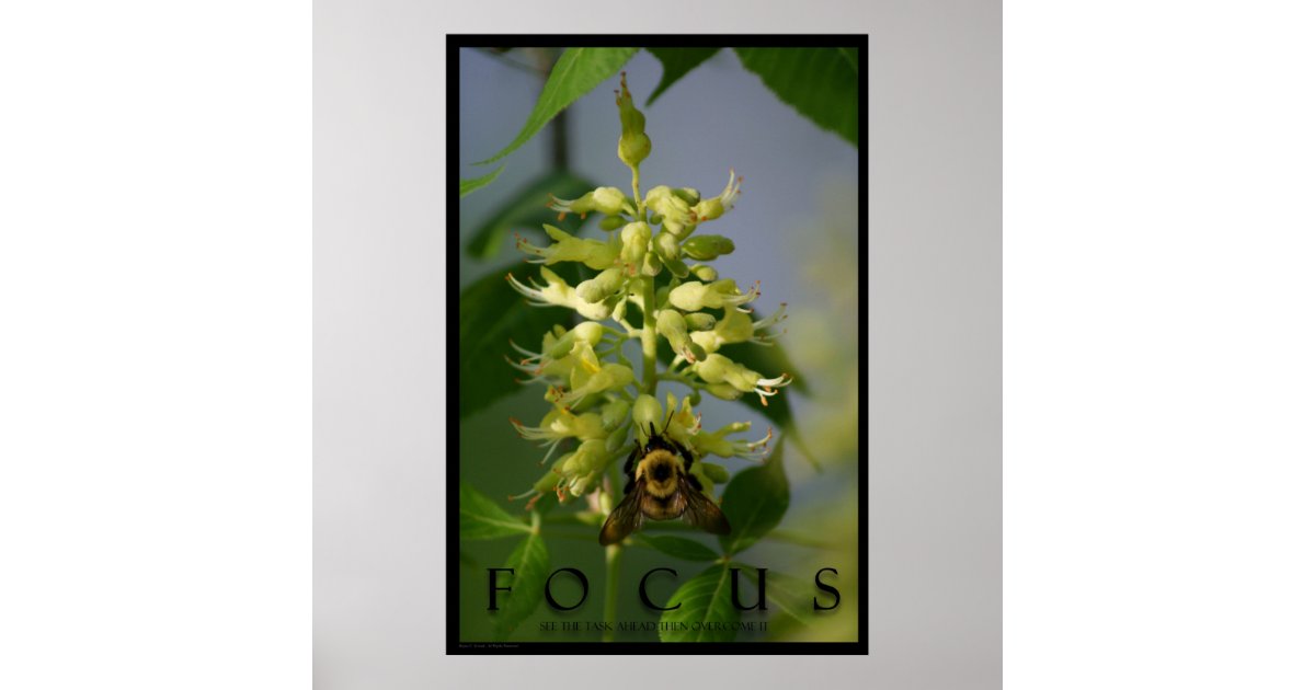 Focus Inspirational Message Poster Art Photo Print | Zazzle