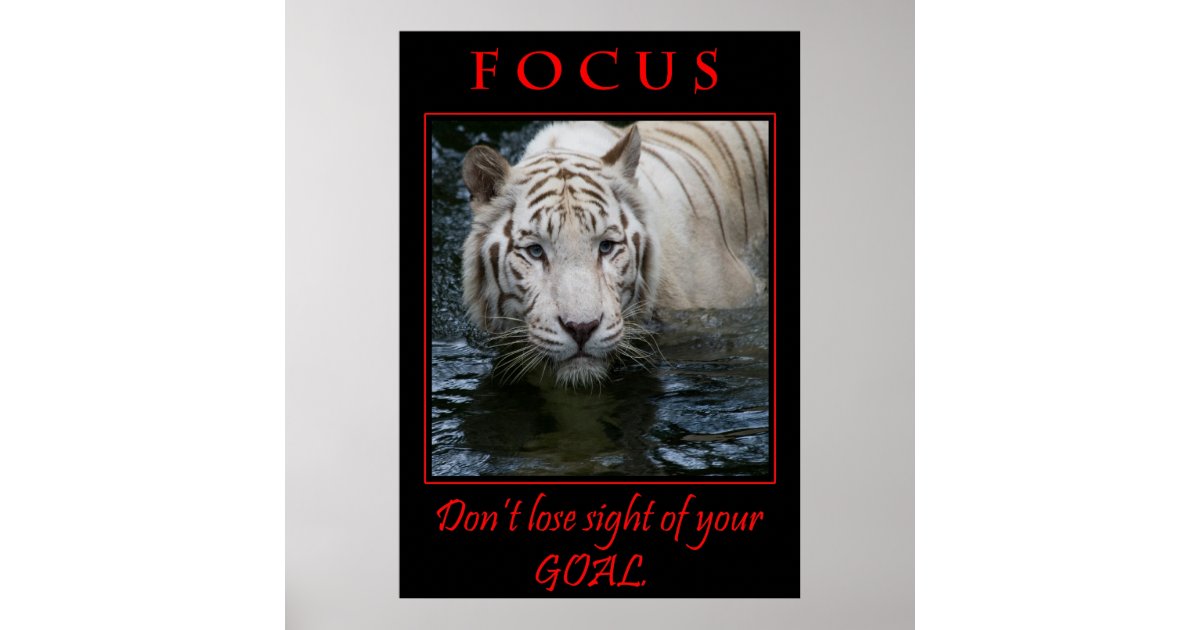 Focus Motivational Poster | Zazzle