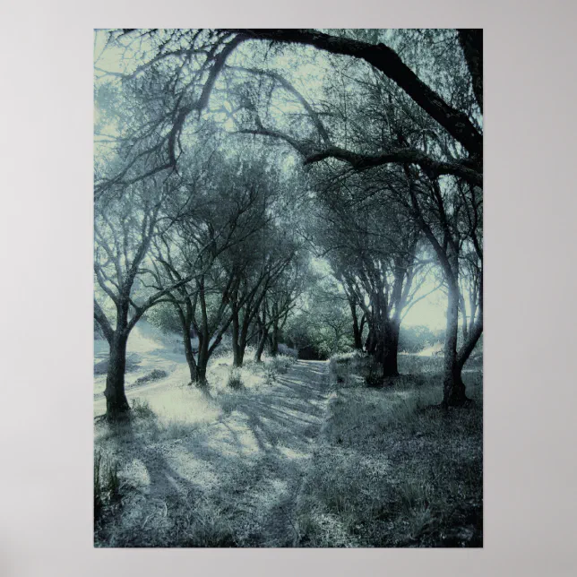 Fog of Dawn Poster | Zazzle