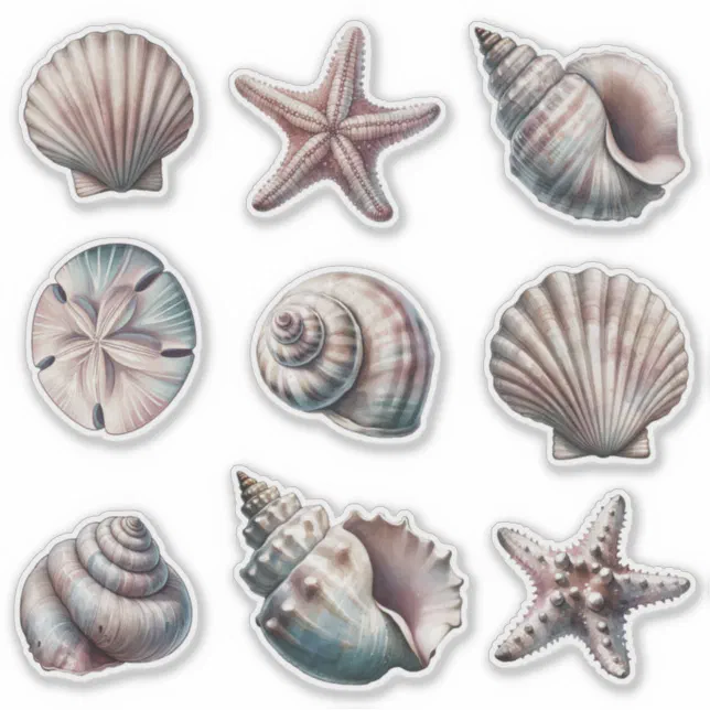 Fog Various Sea Shell Stickers - set of 9 | Zazzle