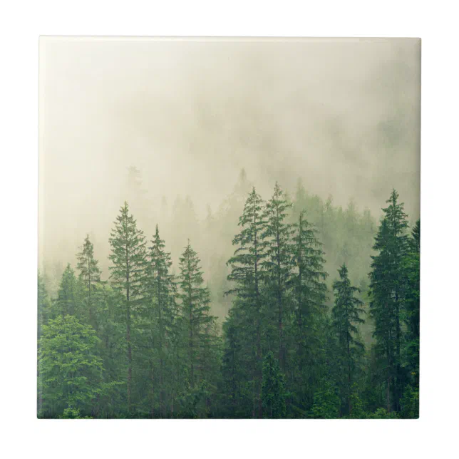 Foggy Forest Winter Trees Ceramic Tile | Zazzle