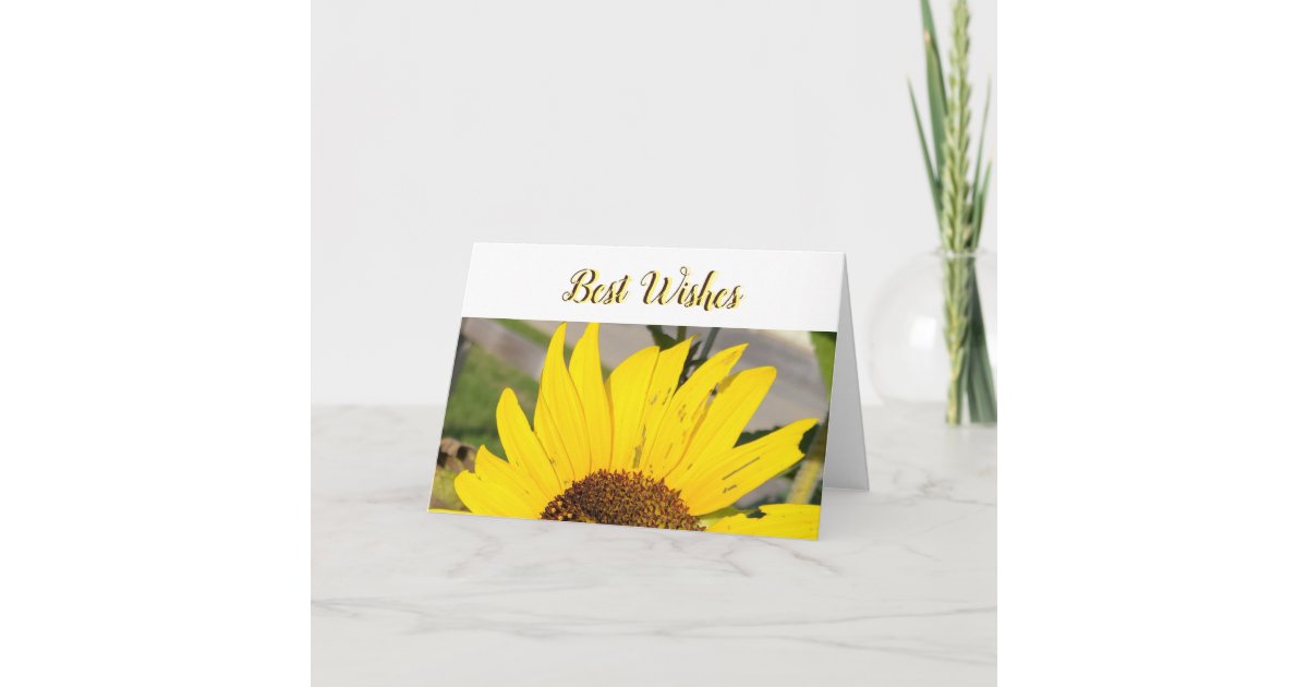 Folded Greeting Card | Zazzle