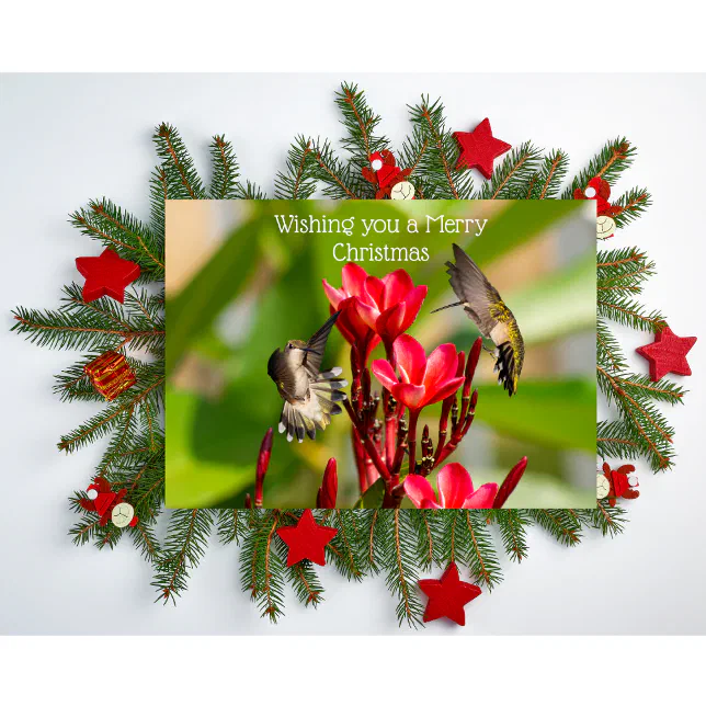 Folded Greeting Card | Zazzle