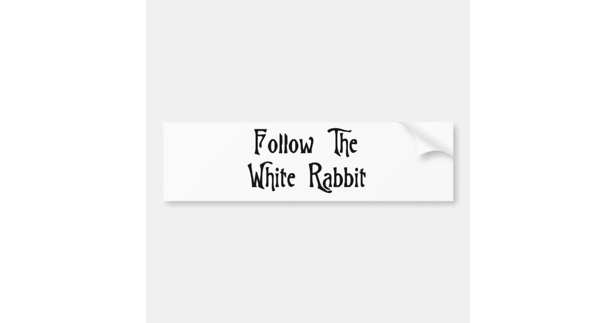 Follow The White Rabbit Bumper Sticker | Zazzle