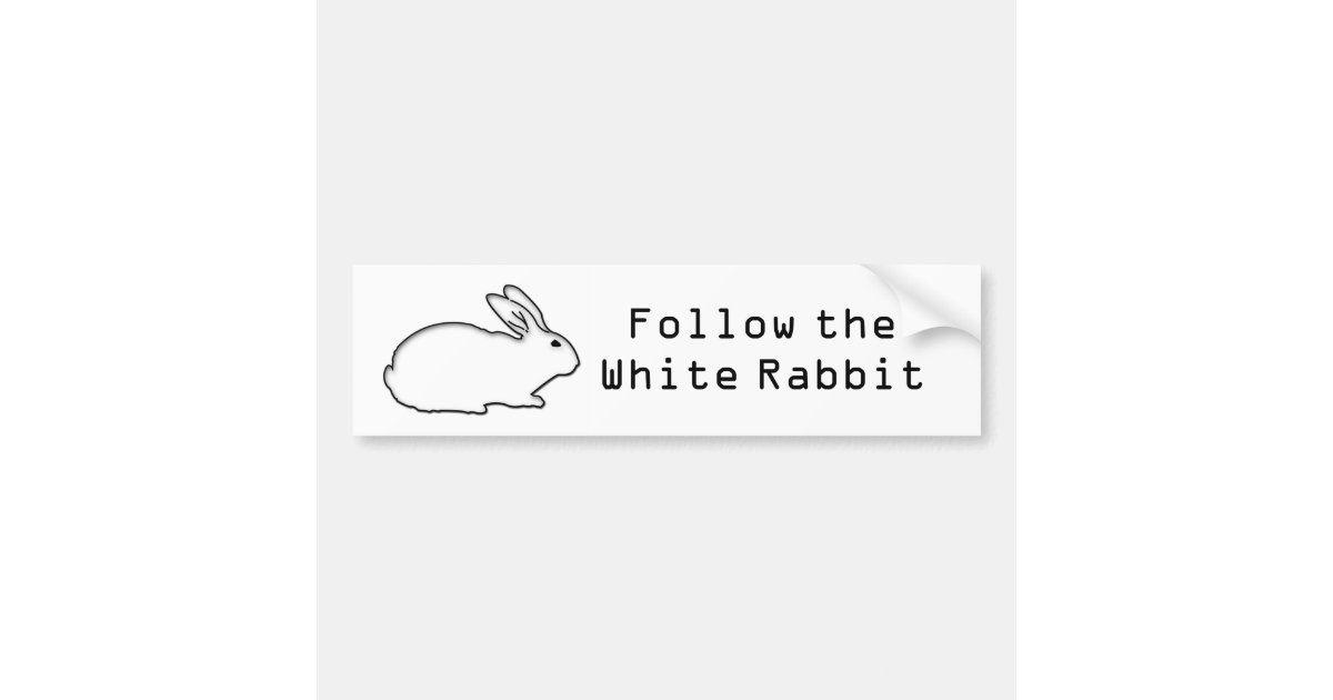 Follow the White Rabbit Bumper Sticker | Zazzle
