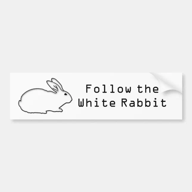 Follow the White Rabbit Bumper Sticker | Zazzle