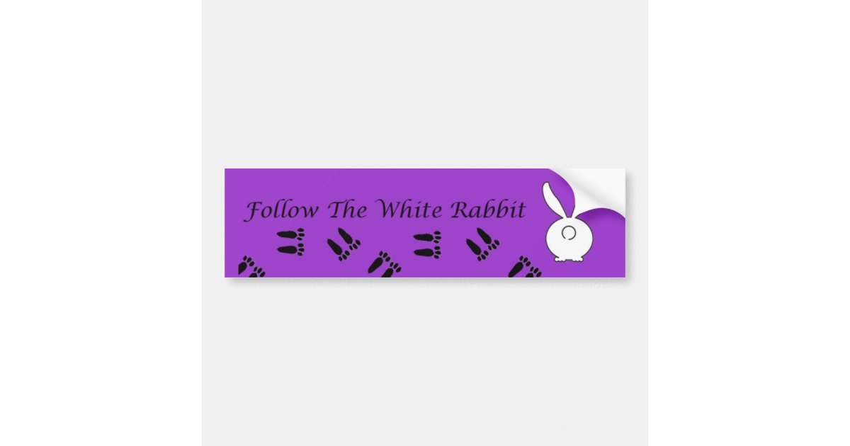 Follow The White Rabbit Bumper Sticker | Zazzle