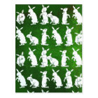 Follow The White Rabbit Postcard | Zazzle.com