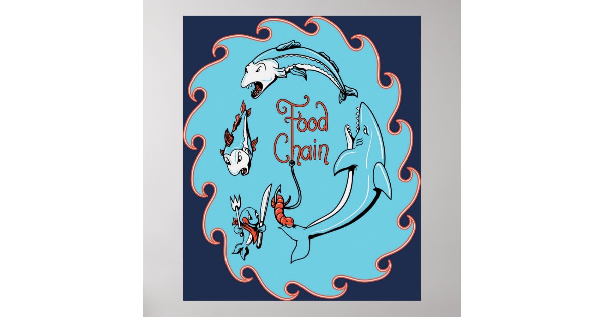Food Chain Poster | Zazzle
