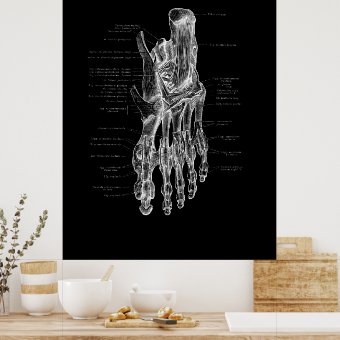 Foot Anatomy Podiatrist Medical Poster | Zazzle
