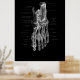Foot Anatomy Podiatrist Medical Poster | Zazzle