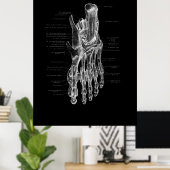 Foot Anatomy Podiatrist Medical Poster | Zazzle
