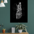 Foot Anatomy Podiatrist Medical Poster | Zazzle