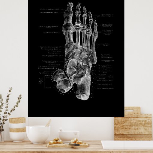 Foot Bones Anatomy Podiatrist Poster | Zazzle