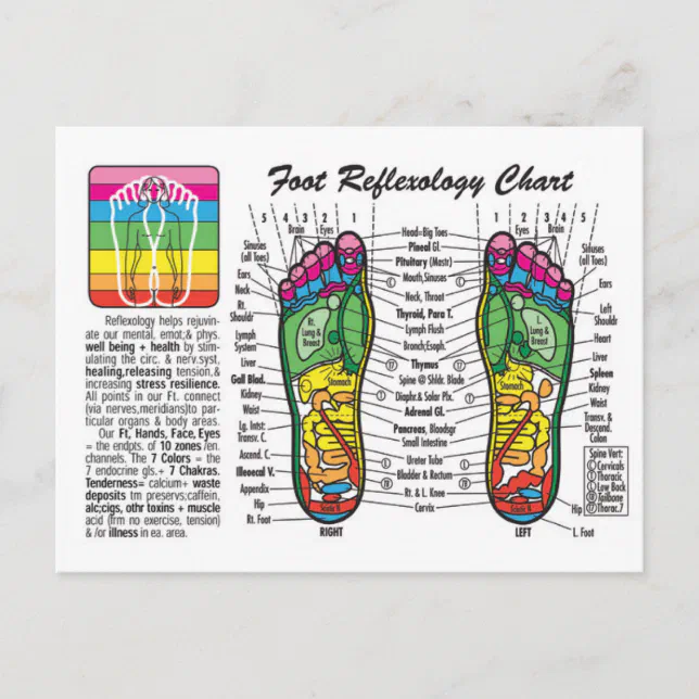 Foot-Massage-Reflexology Postcard | Zazzle