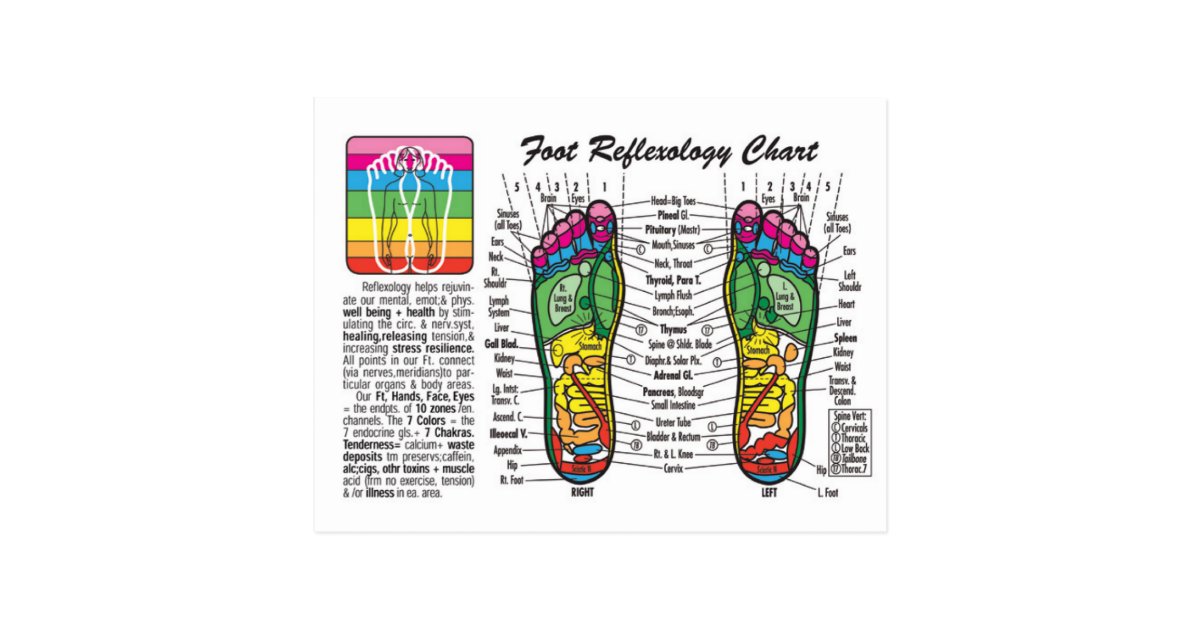 Foot-Massage-Reflexology Postcard | Zazzle.com