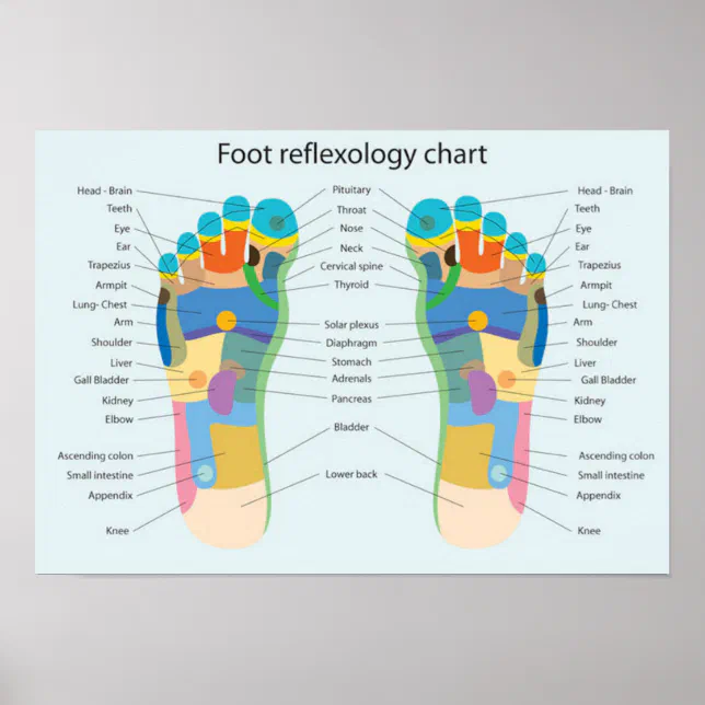 Foot Reflexology 18x13" Poster | Zazzle