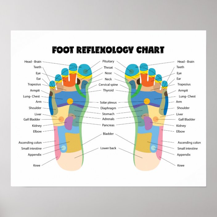 Foot Reflexology Chart 20" x 16", (Matte) | Zazzle.com