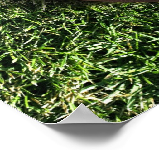 Football on Grass Poster | Zazzle