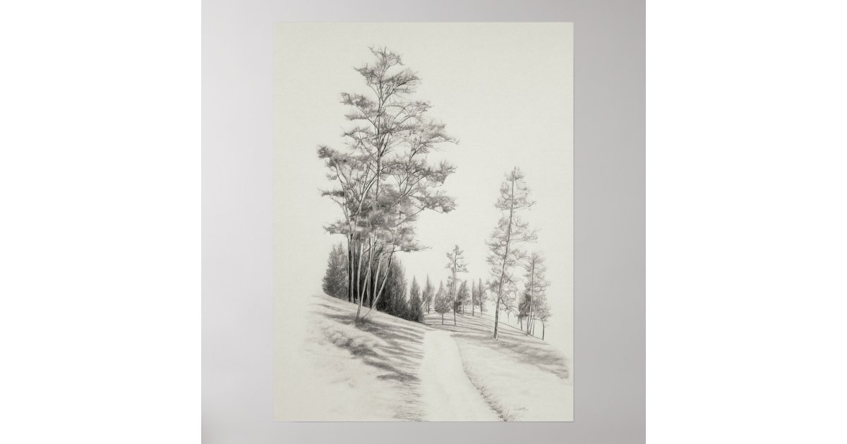 Footpath and trees Sketch, vintage etching, pencil Poster | Zazzle