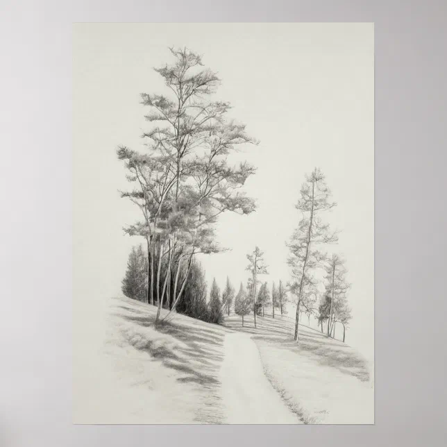 Footpath and trees Sketch, vintage etching, pencil Poster | Zazzle