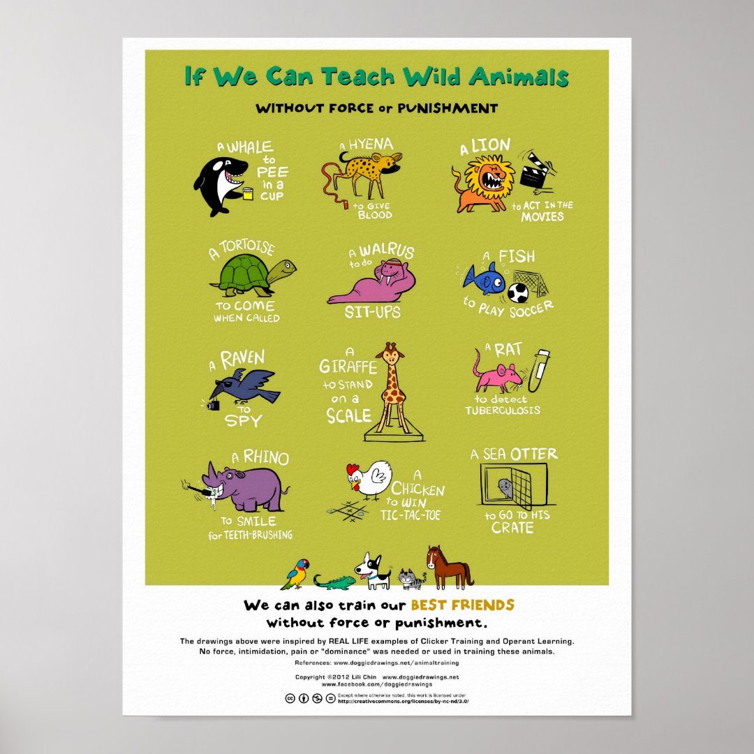 Force-Free Animal Training Poster (18"x24") | Zazzle