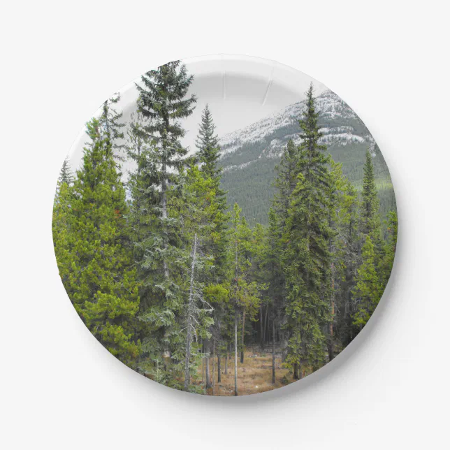 Forest and Mountain Scene Paper Plate | Zazzle