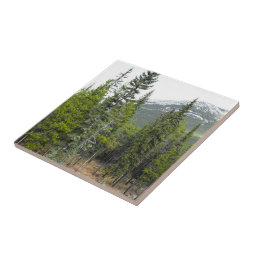 Forest and Mountain Scene Photo Tile | Zazzle
