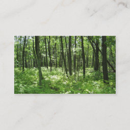 Forest Business Cards | Zazzle