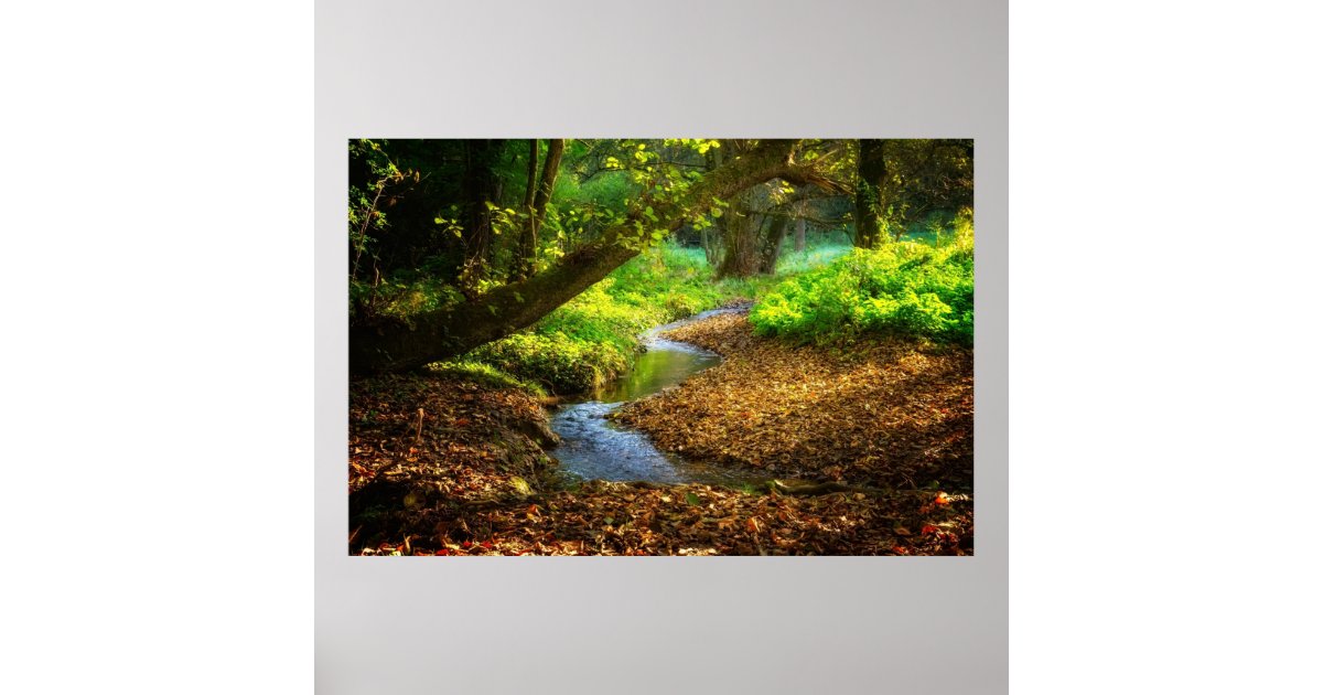 Forest Creek Beautiful Nature Landscape Photo Poster | Zazzle