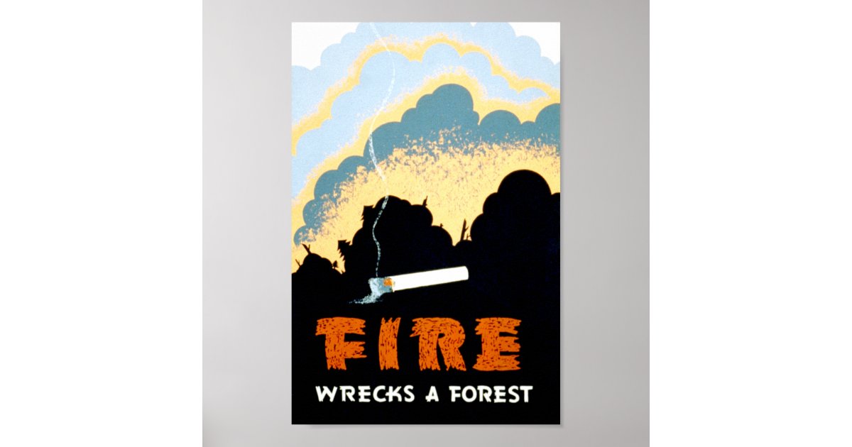 Forest Fire Prevention Poster | Zazzle