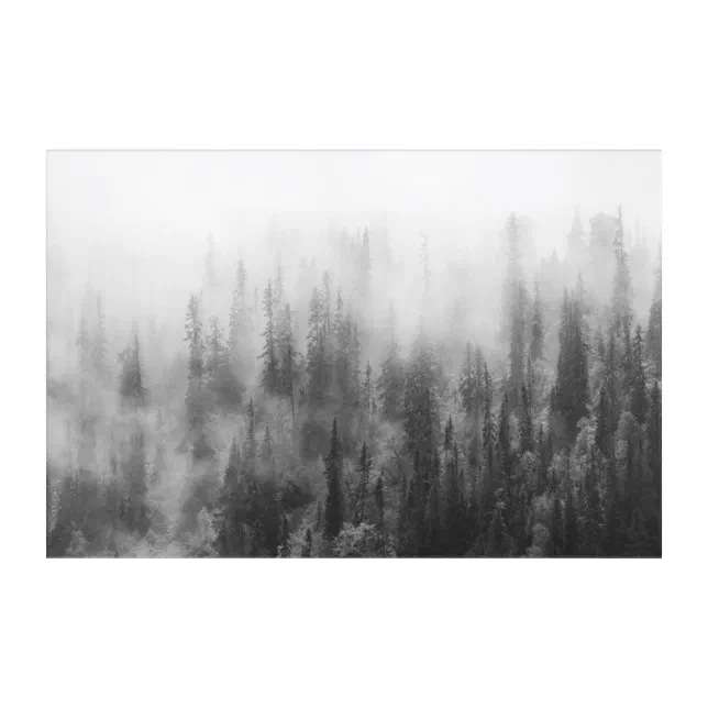 Forest in Fog Acrylic Print | Zazzle