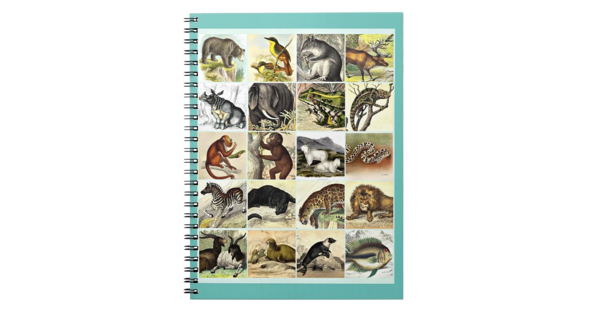 Forest, Jungle And Ocean Animal Collage sheet Art Notebook | Zazzle