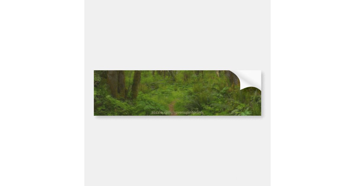 FOREST PATH Bumper Sticker | Zazzle