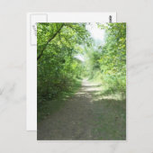 Forest Path Postcard | Zazzle