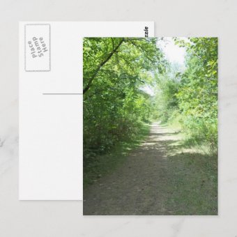 Forest Path Postcard | Zazzle