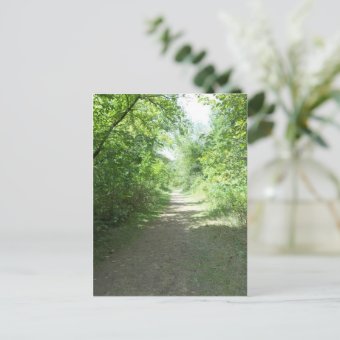 Forest Path Postcard | Zazzle