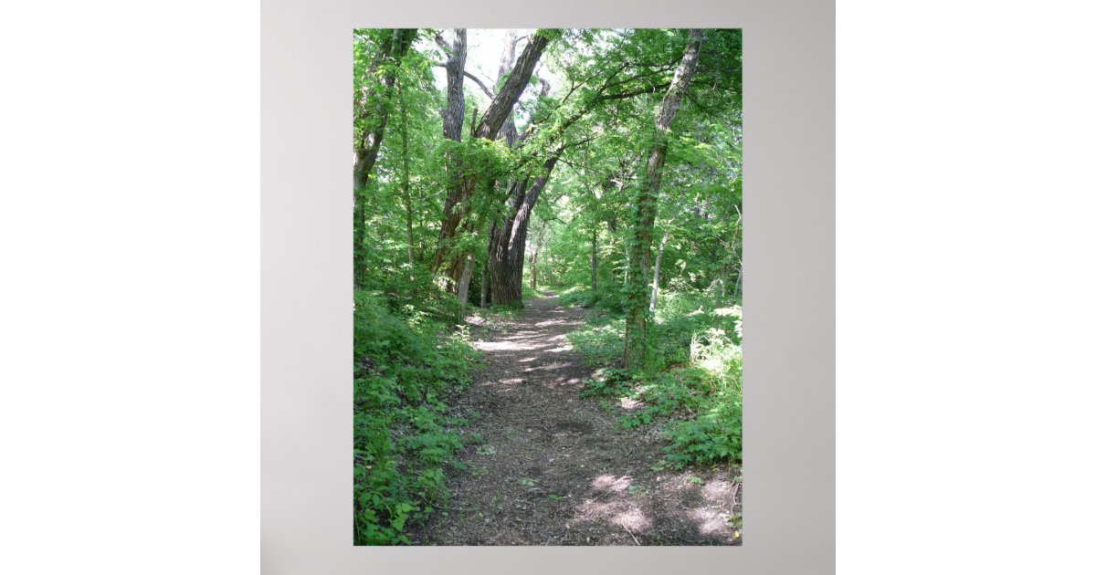 Forest Path Poster | Zazzle