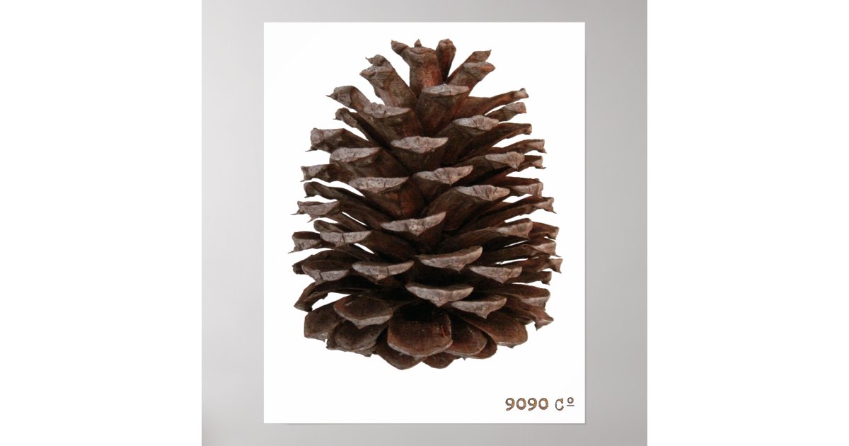 Forest Poster | Zazzle.com