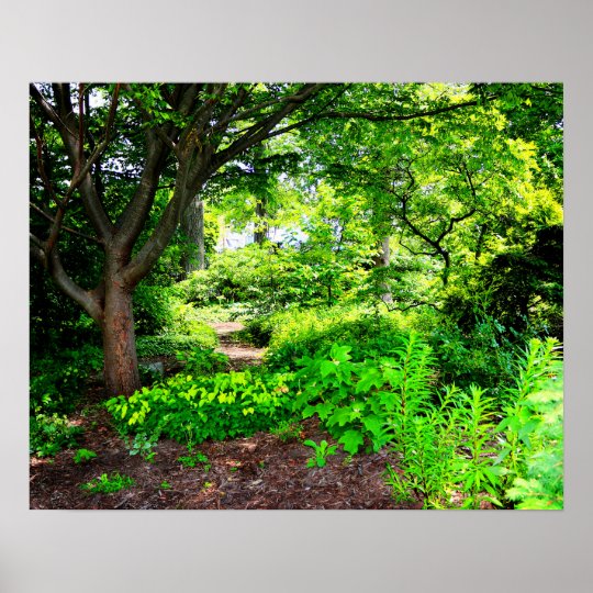 forest poster | Zazzle.com