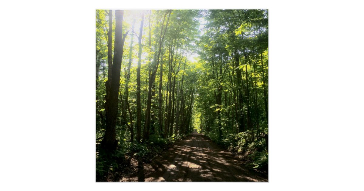 forest poster | Zazzle