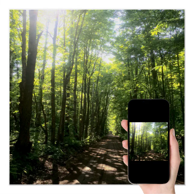 forest poster | Zazzle