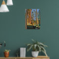 Forest Reserve Poster | Zazzle