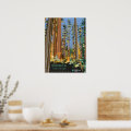Forest Reserve Poster | Zazzle